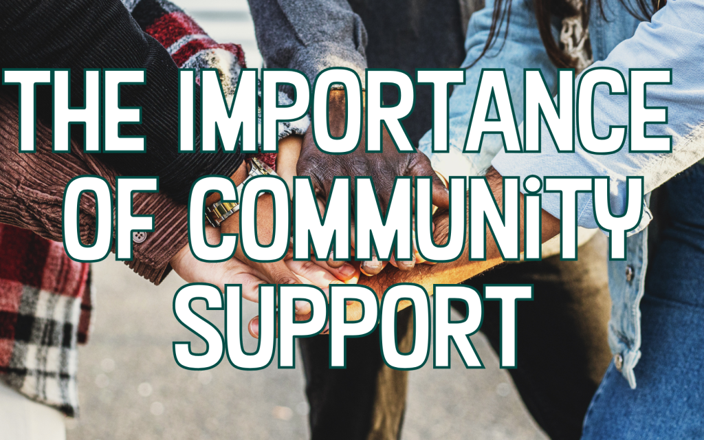 The Importance of Community Support in Breaking the Cycle of Domestic ...